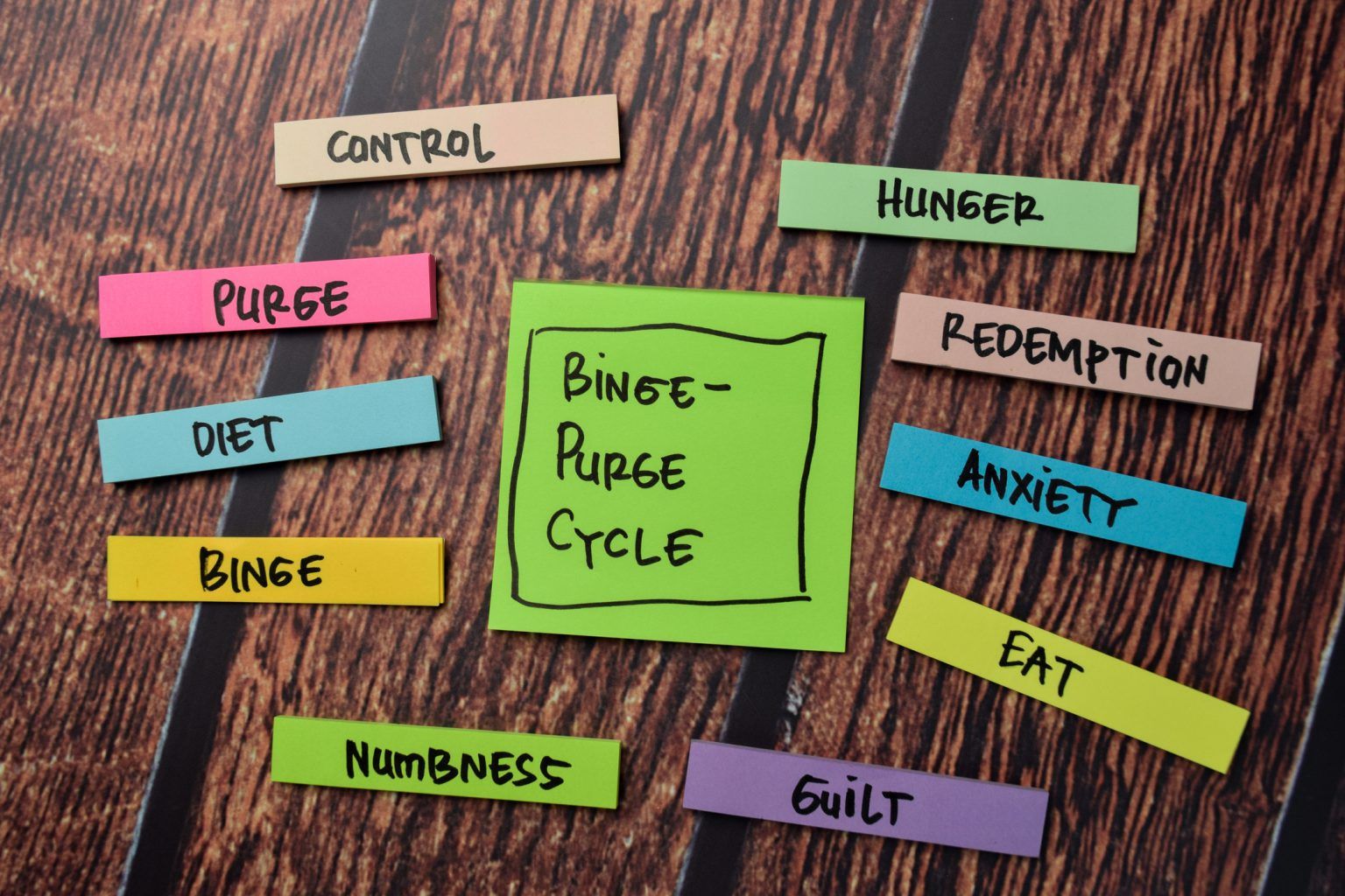 Banting Blog - News, Recipes & Tips | Real Meal Revolution